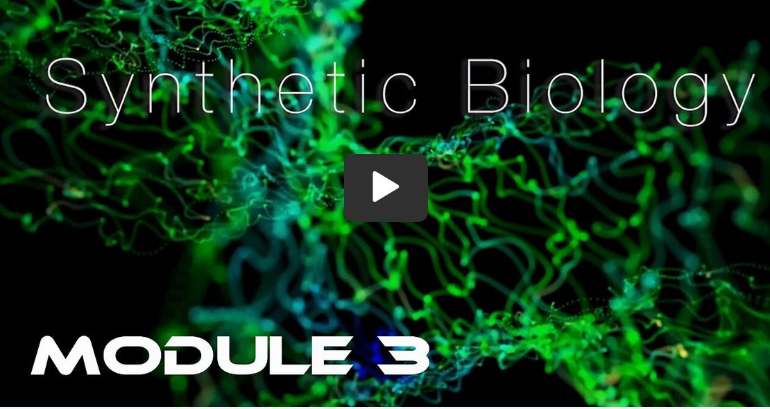 SynBio Webinar: Food from the Serpent – Shepherds Heart